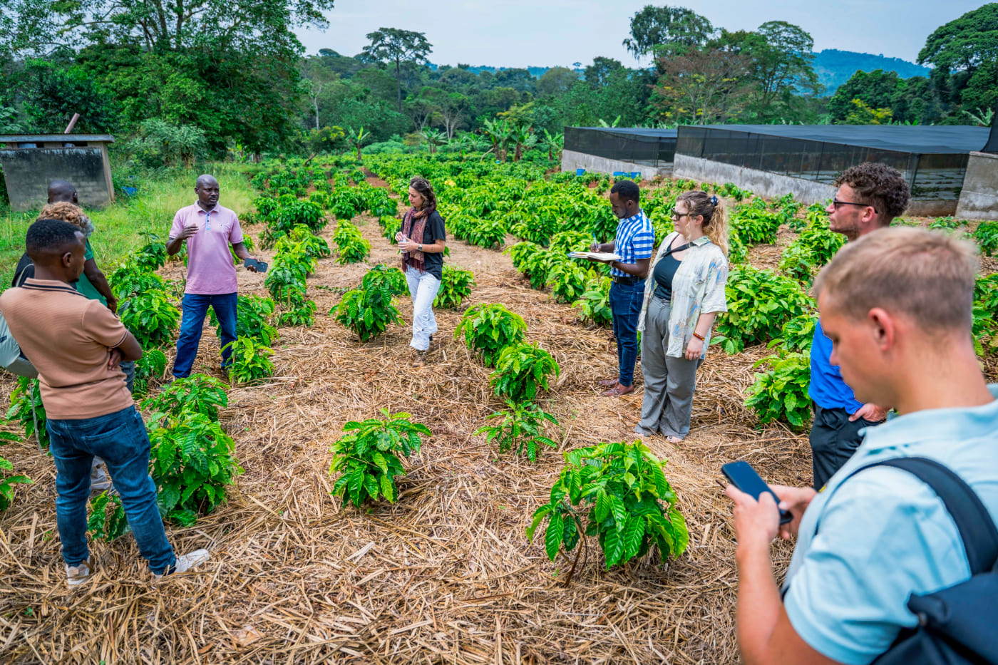 Coffee beyond borders: CoffeeXchange Bridges Two Worlds. How Young ...
